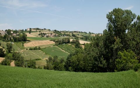 The PDO - Grana Padano